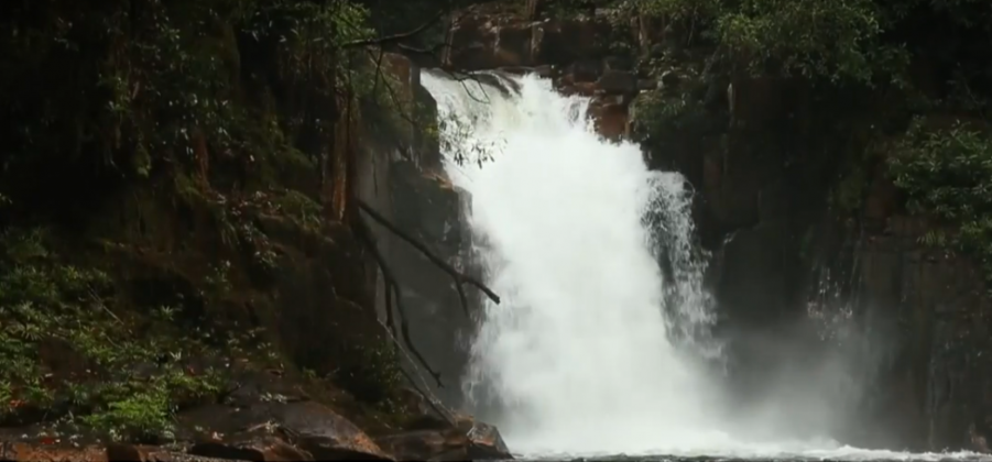 Ini Potensi Ekowisata yang Menjanjikan di Kawasan TNGP | MONGA