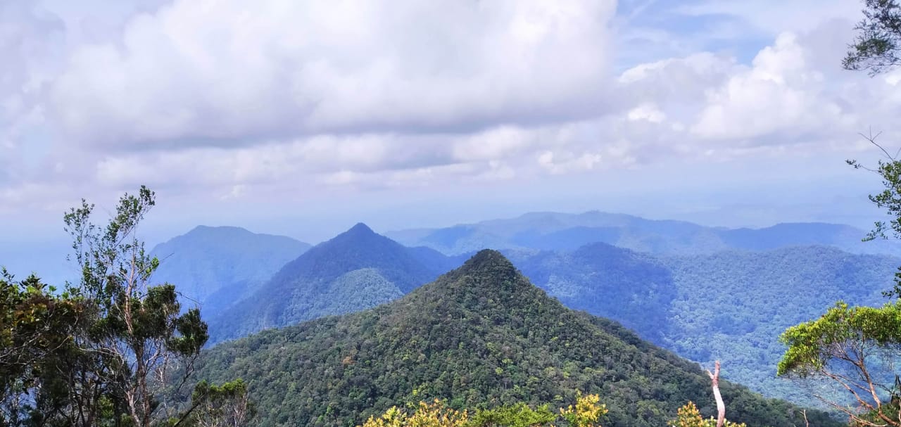 Memanfaatkan Mata Air Pegunungan, BUMDes Mekar Raya Kecamatan Simpang ...