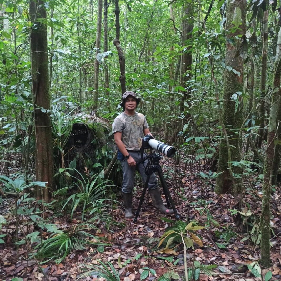 Berjumpa dengan Burung Ruai di Taman Nasional Gunung Palung | MONGA